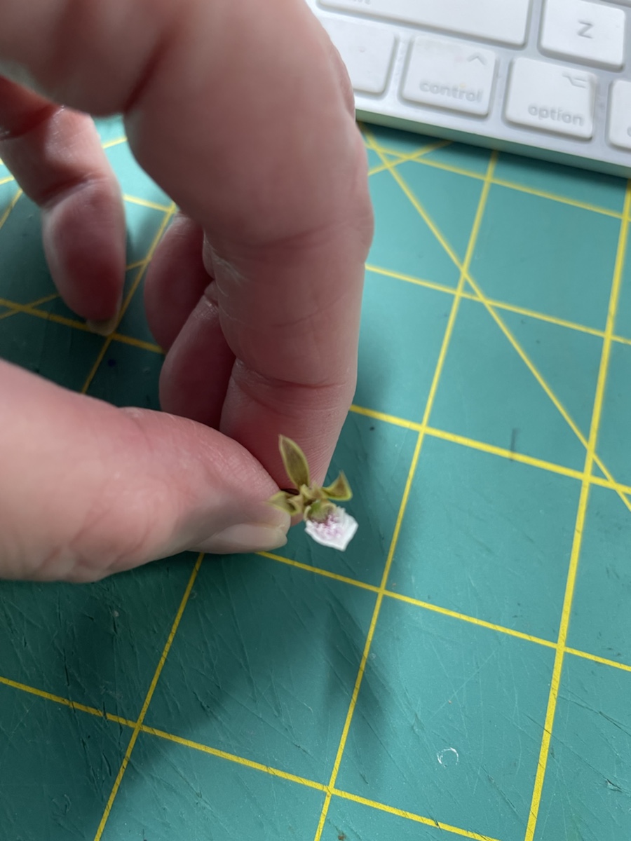 Inchie Day 8 – Gina Lento: Fine Art and Illustration